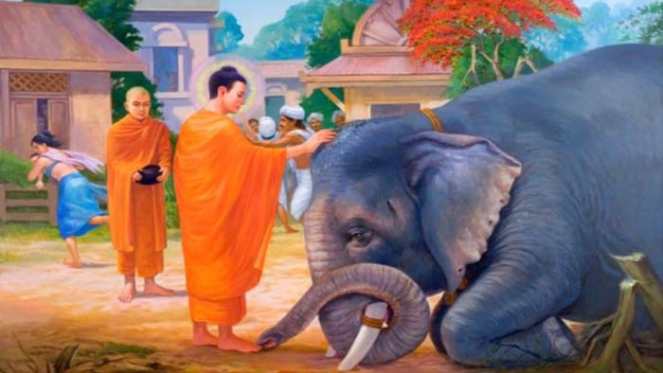 ‘FLESH AND BLOOD’ EMBODIMENT OF DHARMA AND ‘TREASURY OF MUCH LISTENING ...